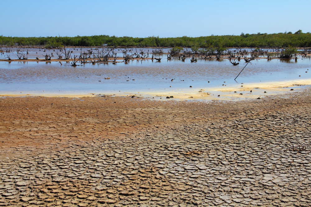 Worsening drought in the Caribbean hits tourism sector, hotel water ...