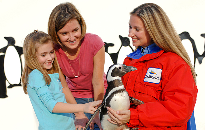 Extended dates for SeaWorld’s Canadian Resident Pricing - Travelweek