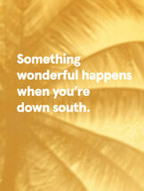 Check out Transat 2020-2021 South brochure - Travelweek