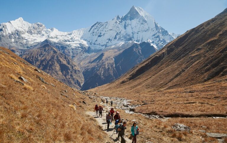 Intrepid mandates vaccinations for travellers and tour leaders as part ...