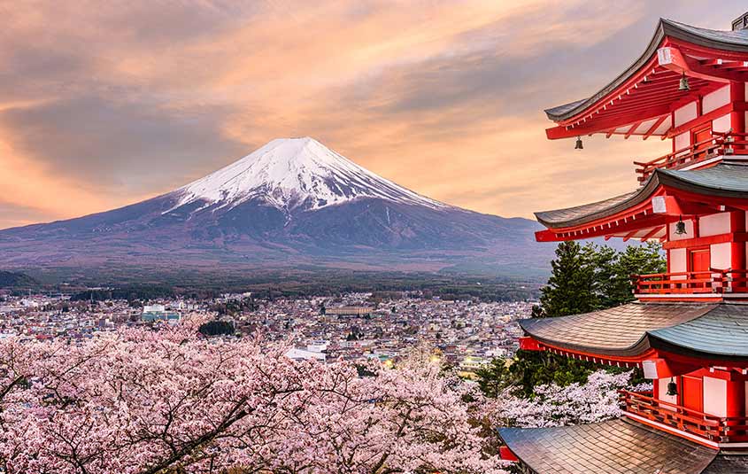 Final round of winners for JNTO’s specialist program - Travelweek