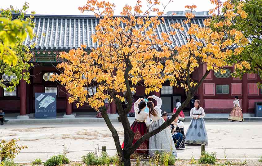 Top 5 Unique Experiences in South Korea - Travelweek