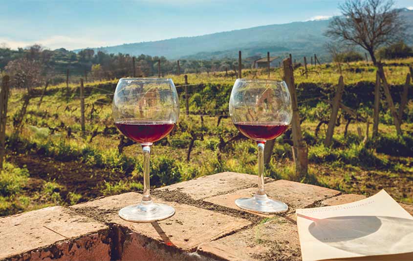 The Wines of Sicily: What to know before you go, with Collette - Travelweek