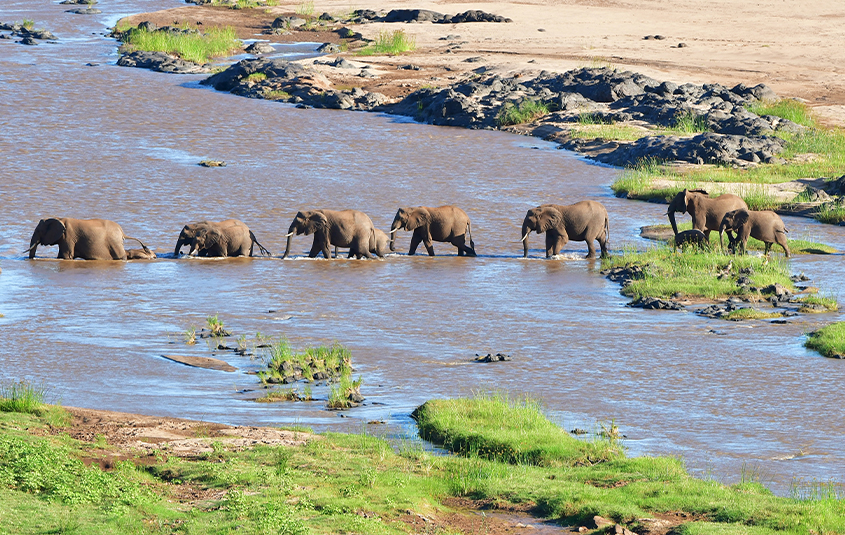 Collette introduces 10 new tours for 2025 - Travelweek