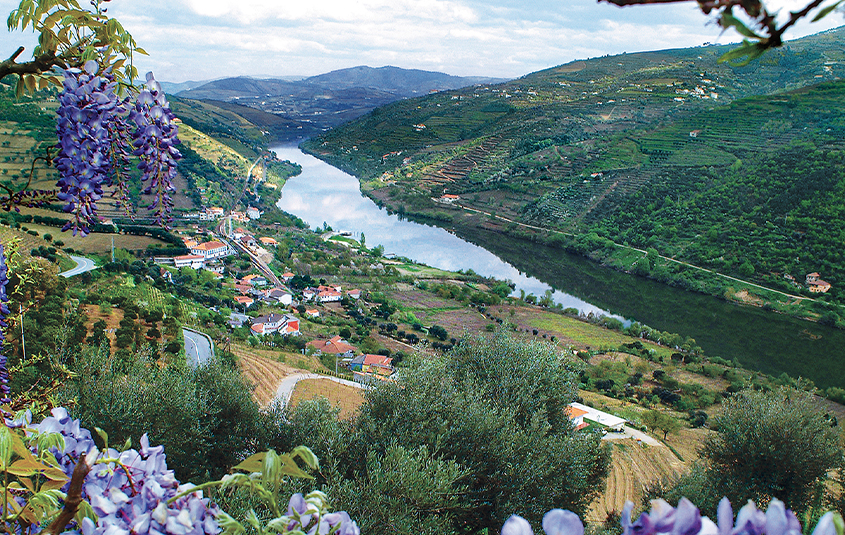 Niche Travel Group has space on its chartered Oct. 2024 Douro sailing ...