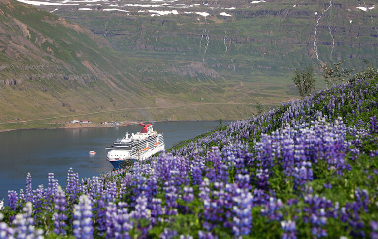 Carnival Cruise Line opens first wave of summer 2026 itineraries ...