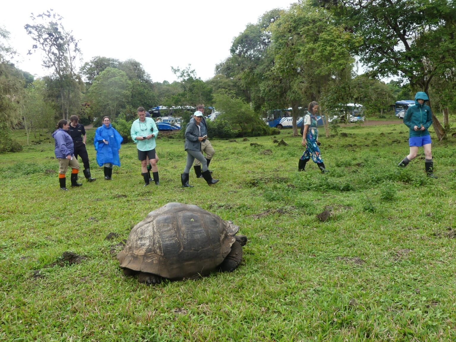 Galápagos growth: National Geographic-Lindblad Expeditions christens ...