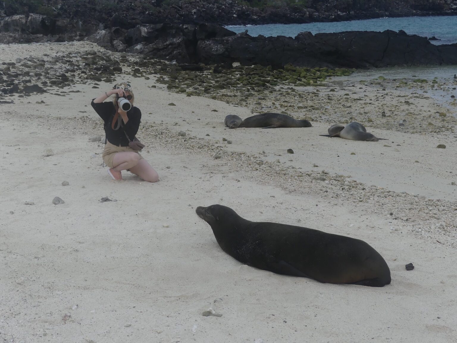 Galápagos growth: National Geographic-Lindblad Expeditions christens ...