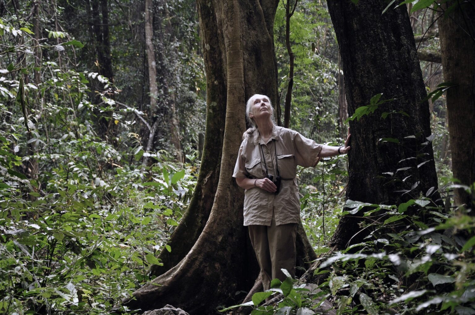 “The world has lost an angel”: G Adventures’ Bruce Poon Tip’s tribute ...