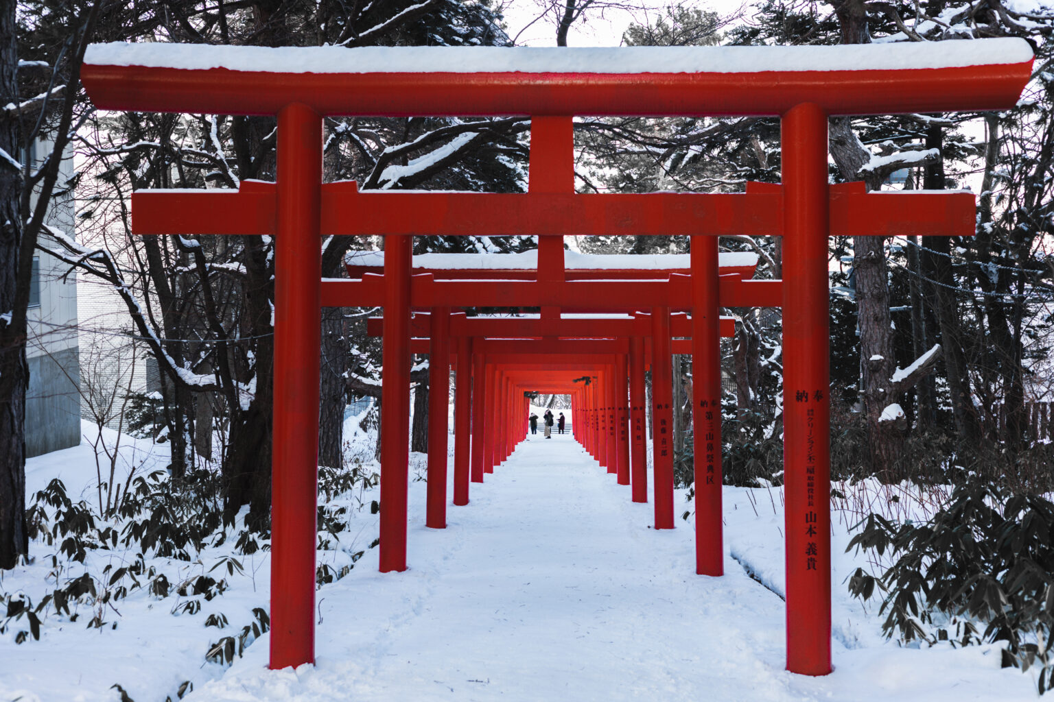First-ever winter seasonal service to Sapporo with Air Canada from YVR ...