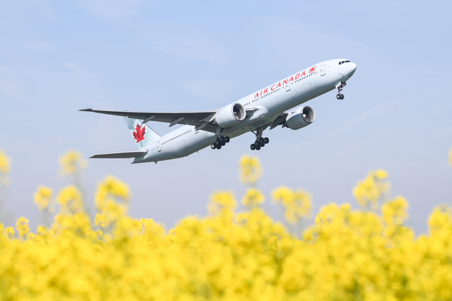 “No fuel shortage affecting Air Canada’s operations”: AC mailer ...