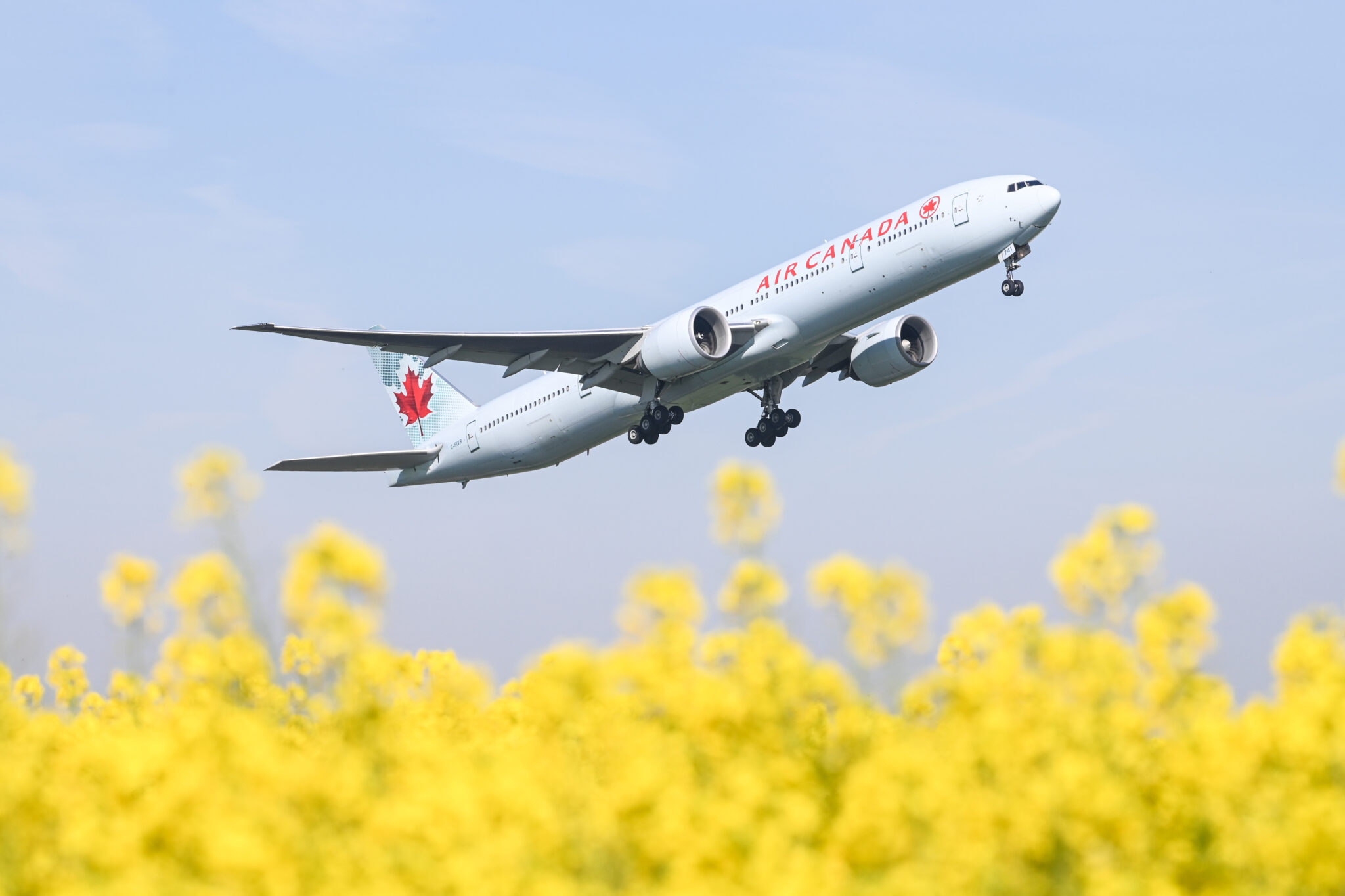 “No fuel shortage affecting Air Canada’s operations”: AC mailer ...